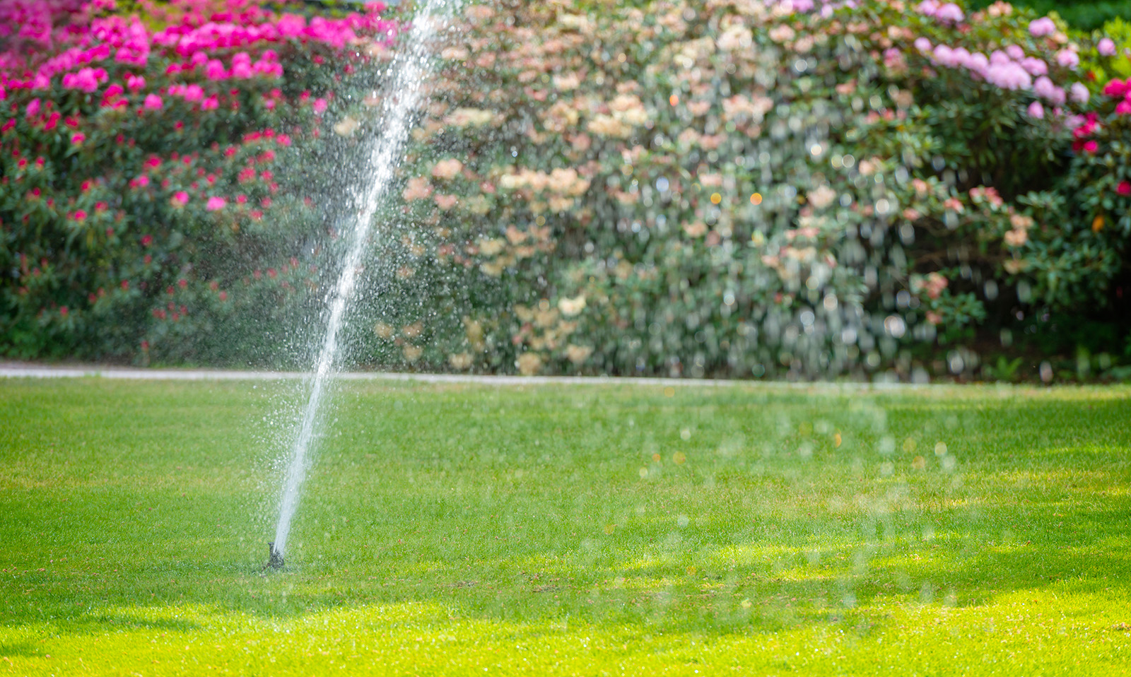 Make spring easier with an irrigation system!