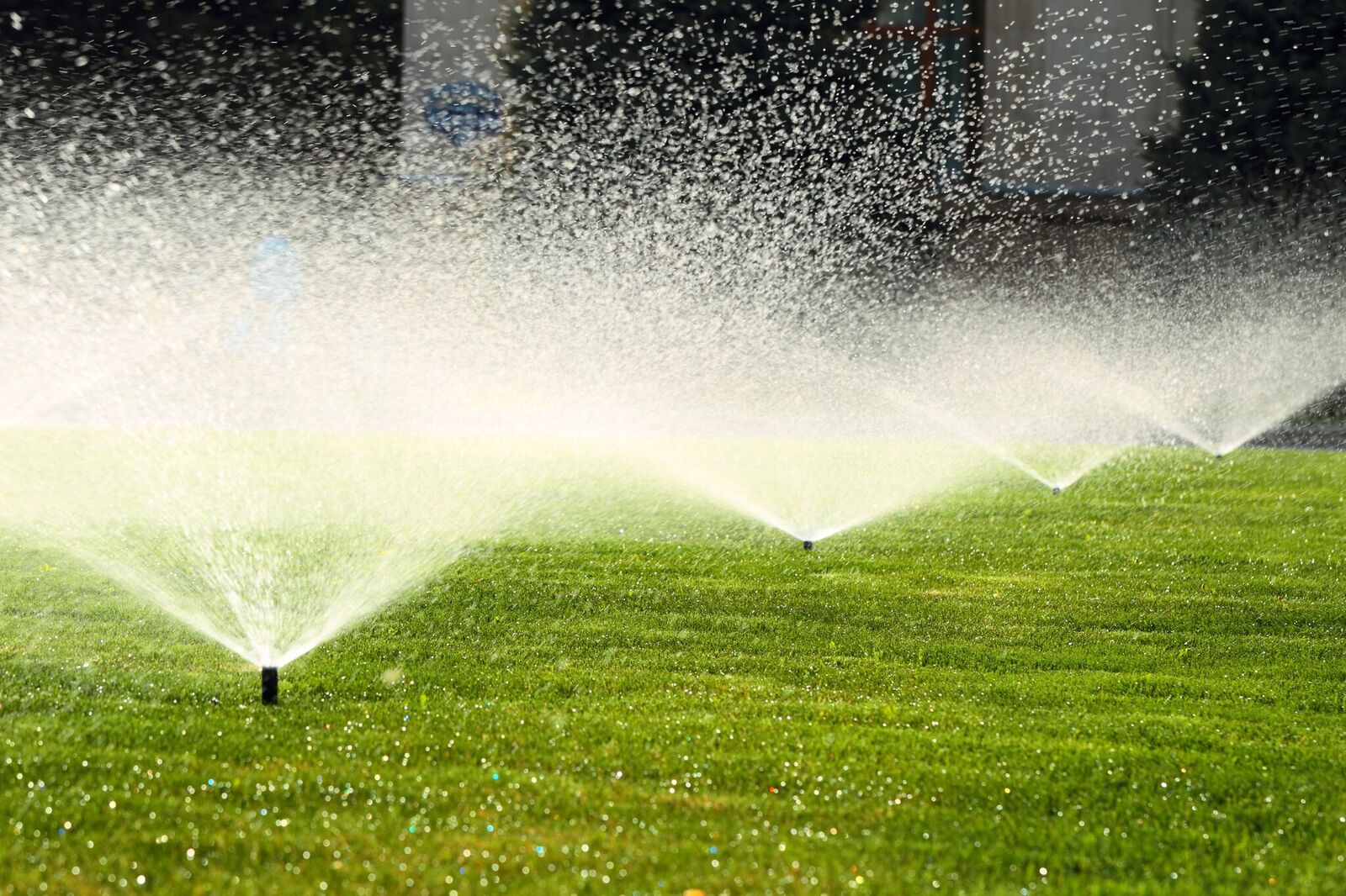Spring into great landscaping with a commercial irrigation system