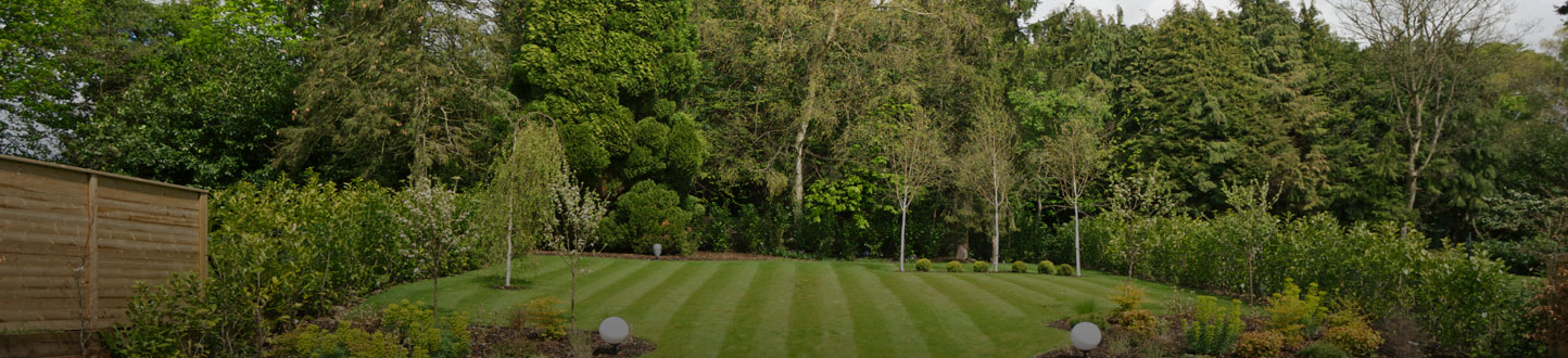 Top Commercial and Residential Landscaping Blog | Great Estates