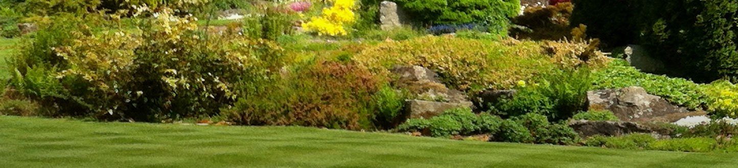 Top GA Landscaping Company | Contact Us | Great Estates